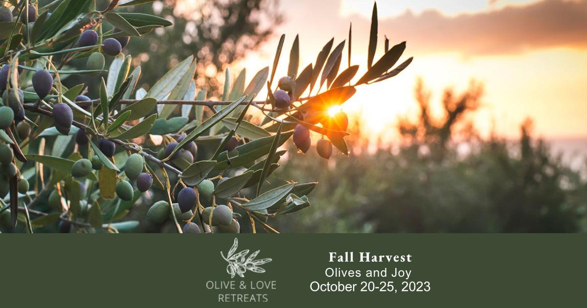 Olives & Joy Retreat | October 20-25, 2023
