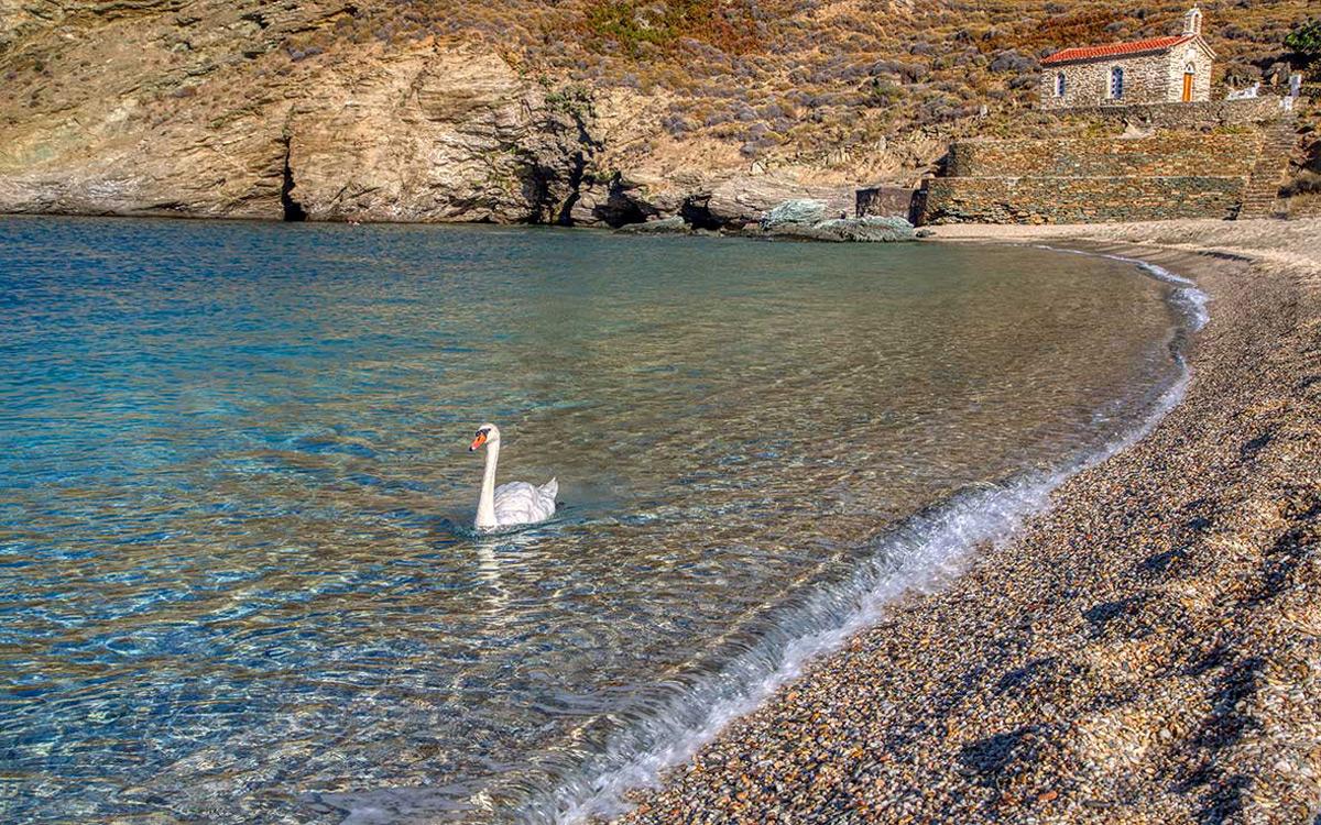 Achla Beach in Andros | Andros Secrets